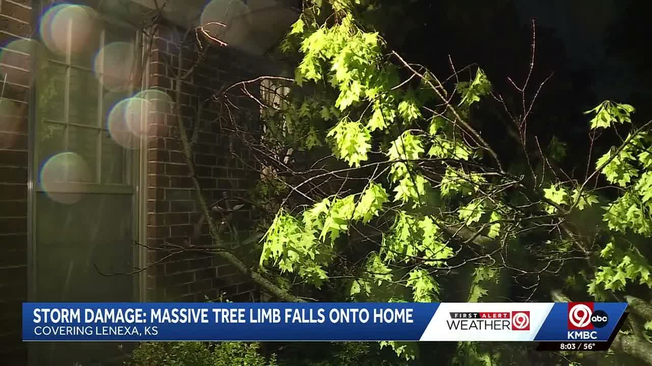 Transformers blow, tree limbs fall in Monday's severe storms around ...