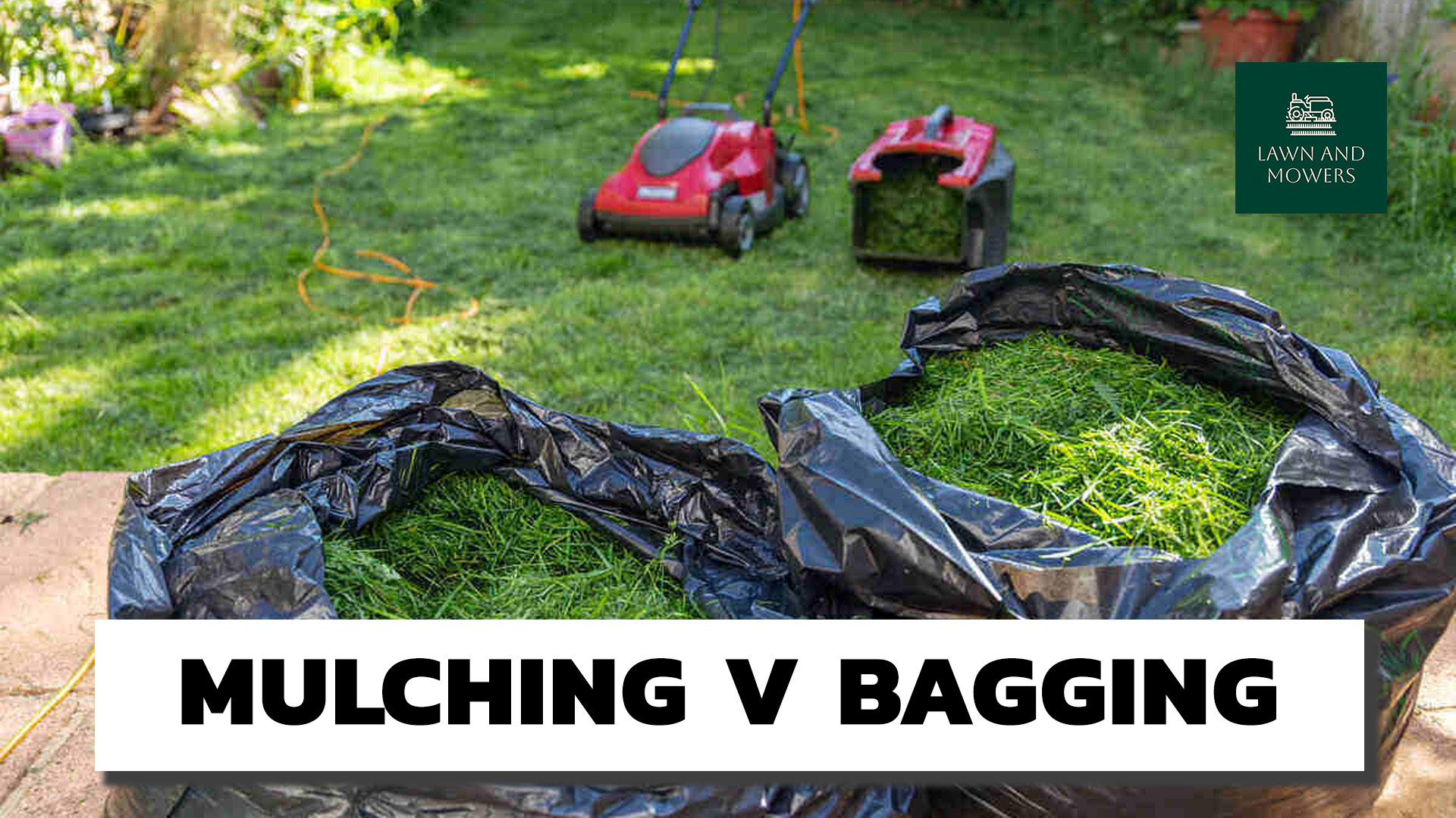 Why mulching your grass clippings could save hours every summer