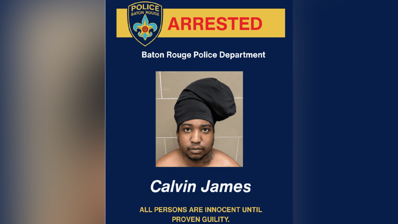 Baton Rouge police bust auto theft ring, seize guns and drugs
