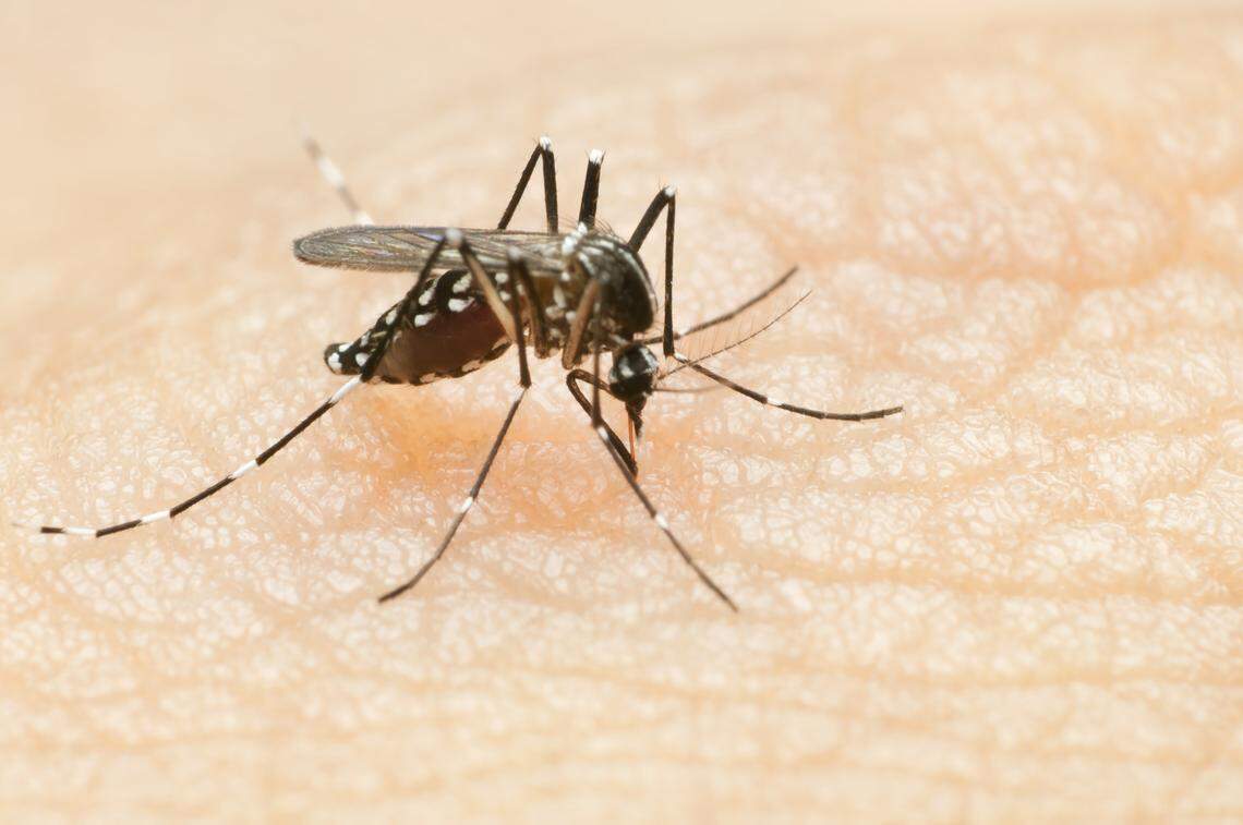 This deadly virus is way more prevalent in SC than US overall and it's ...