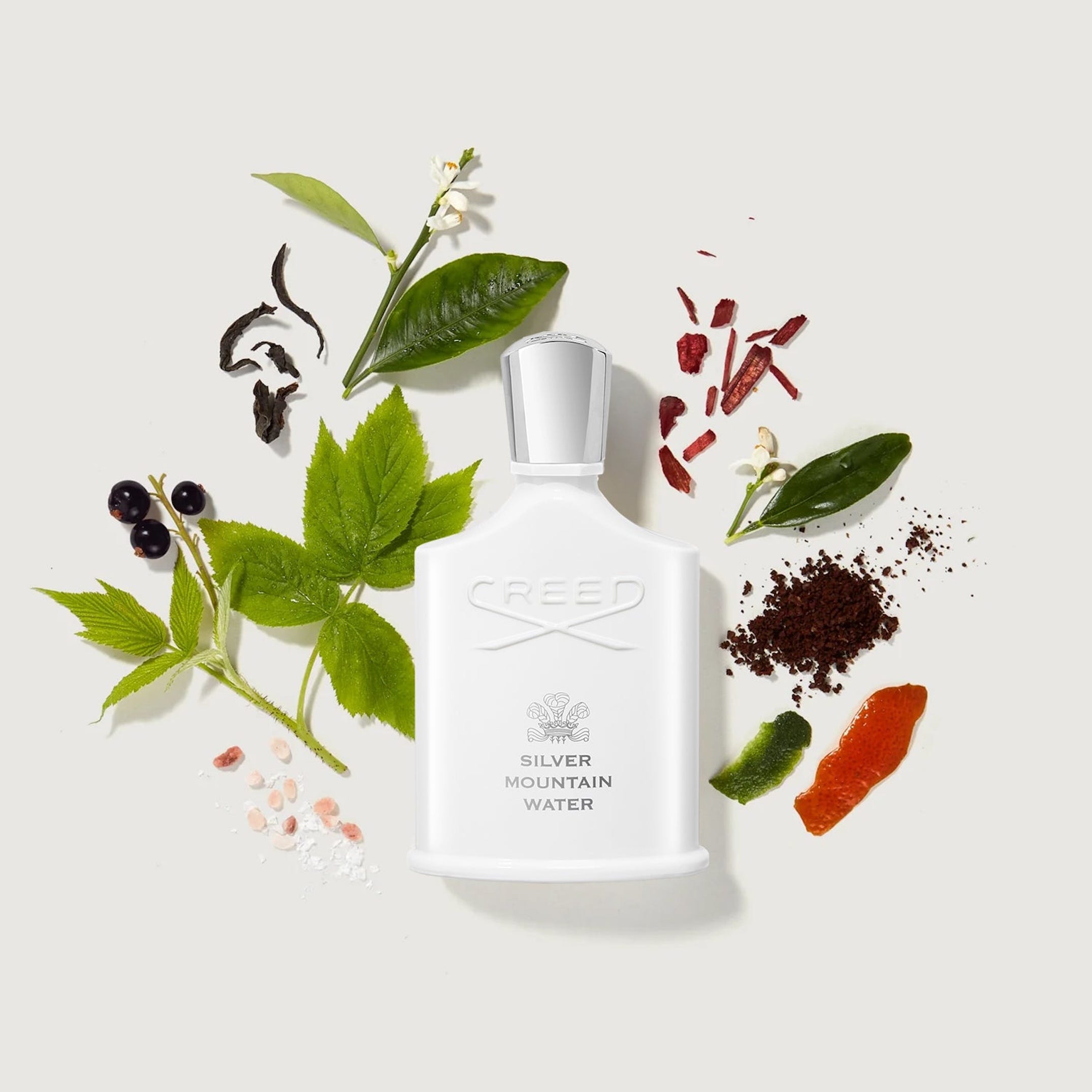 The 6 fragrances women want men to wear on a date night, from Creed to ...