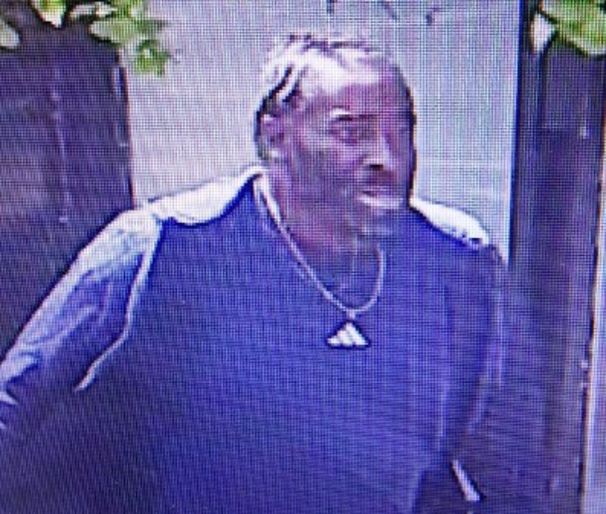 Police hunt phone robber who attacked disabled man on London train