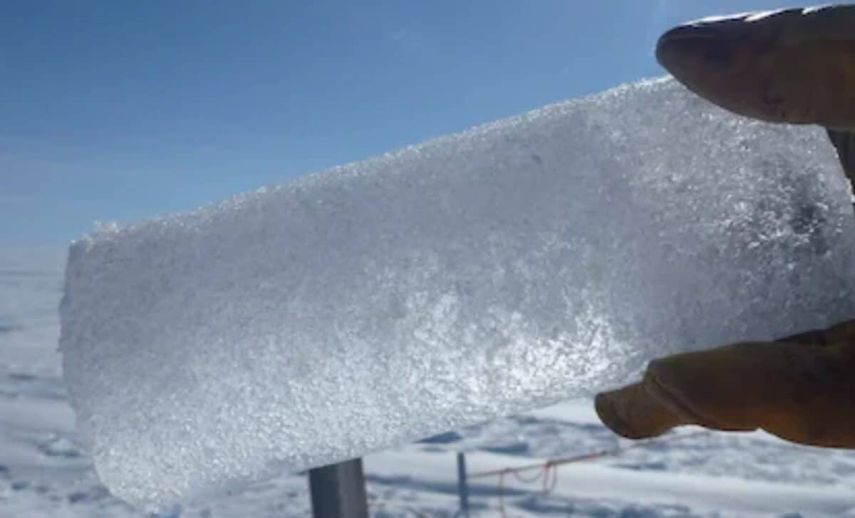After analyzing 300 kg of Antarctic ice, scientists found strange ...