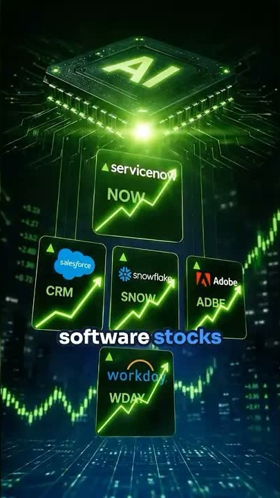 Software stocks strike back