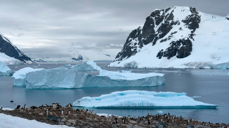 Supernova-sterrenstof gevonden in Antarctica
