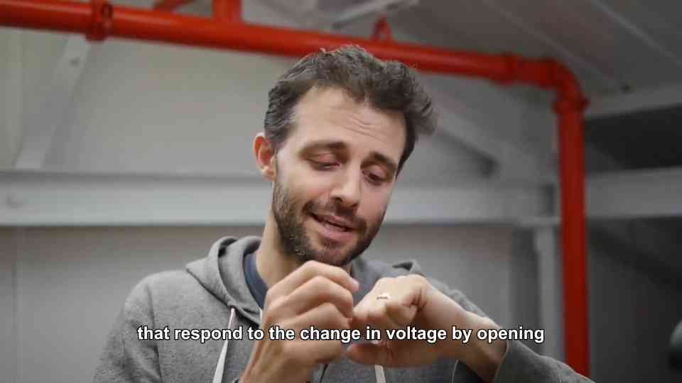 The science behind my twitching eye