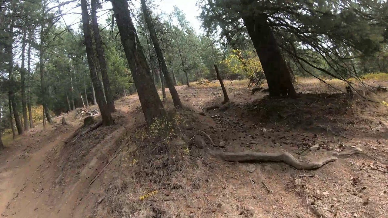 Join us for an epic ride in the forest!