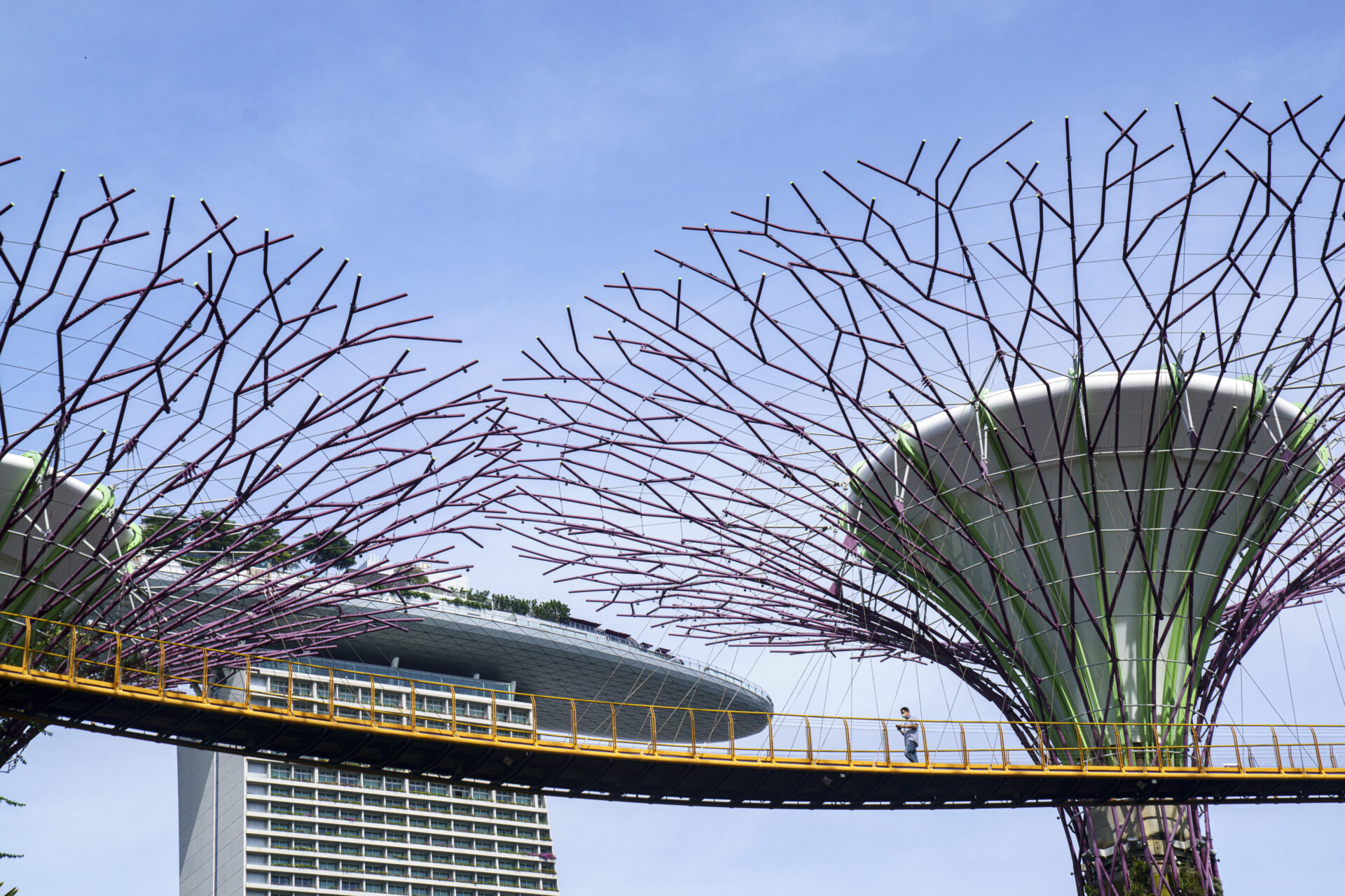 Changi, una experiencia antes de volar