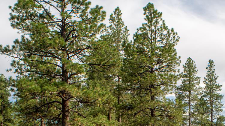 County renames landmarks over Sand Creek Massacre ties