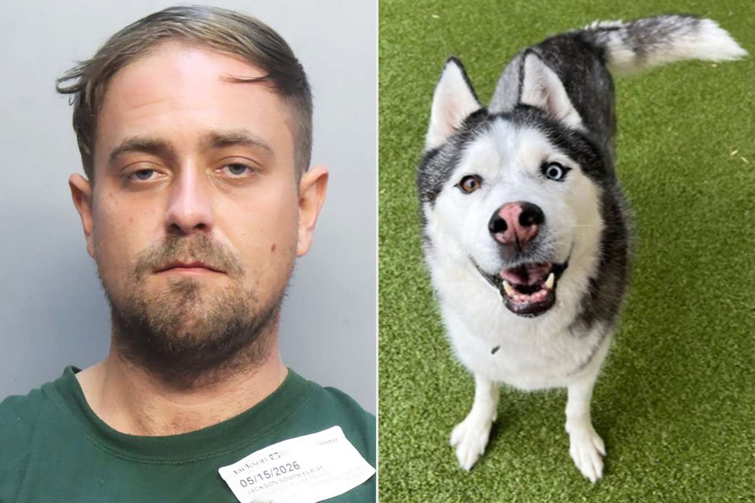 House sitter from hell? Man accused of stealing airman's dog and car ...
