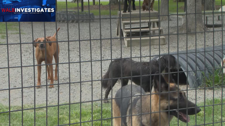 Residents call to overhaul 'unenforceable' Lowndes County dog tethering ...