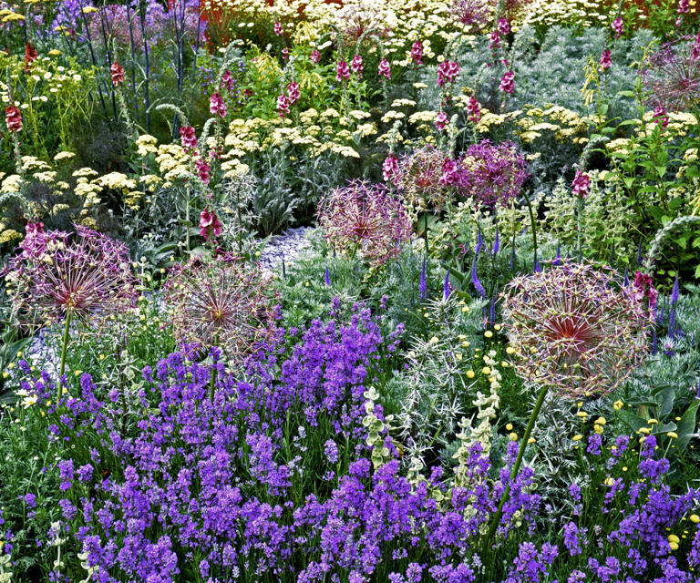 Why this plant is quietly replacing lavender