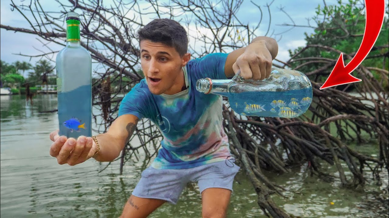 Finding baby exotic fish in glass bottles! *Insane*