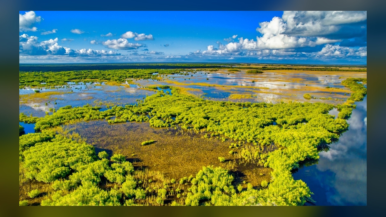 Where alligators and crocodiles actually coexist and it’s a short drive ...