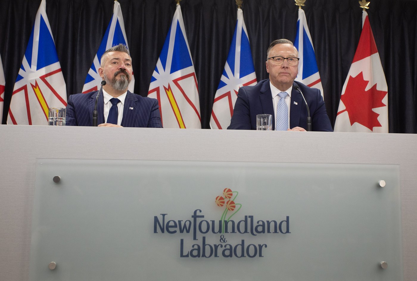 Panel concludes Quebec energy deal not in Newfoundland and Labrador's ...