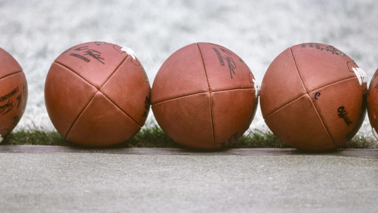 Bengals-Bears to hold joint practice before their preseason game