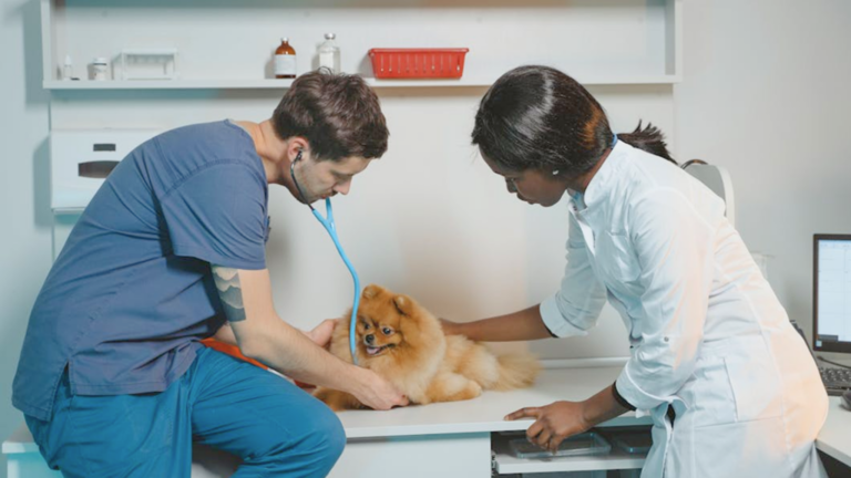 Map reveals spread of canine illness across multiple states, raising ...