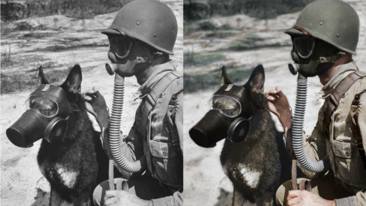 20 colorized photos from World War II
