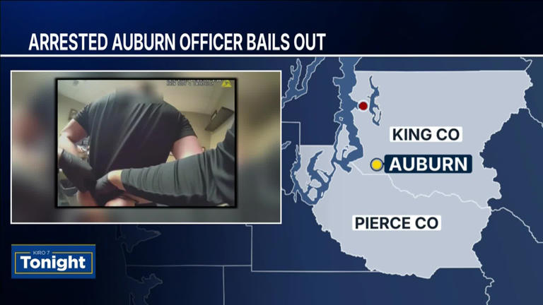 Auburn cop accused of sending inappropriate messages to a minor bails ...