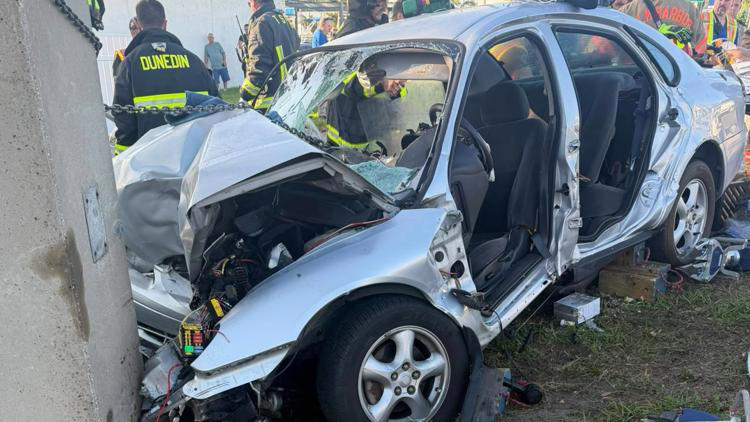 2 airlifted, dog rescued following utility pole crash on US-19