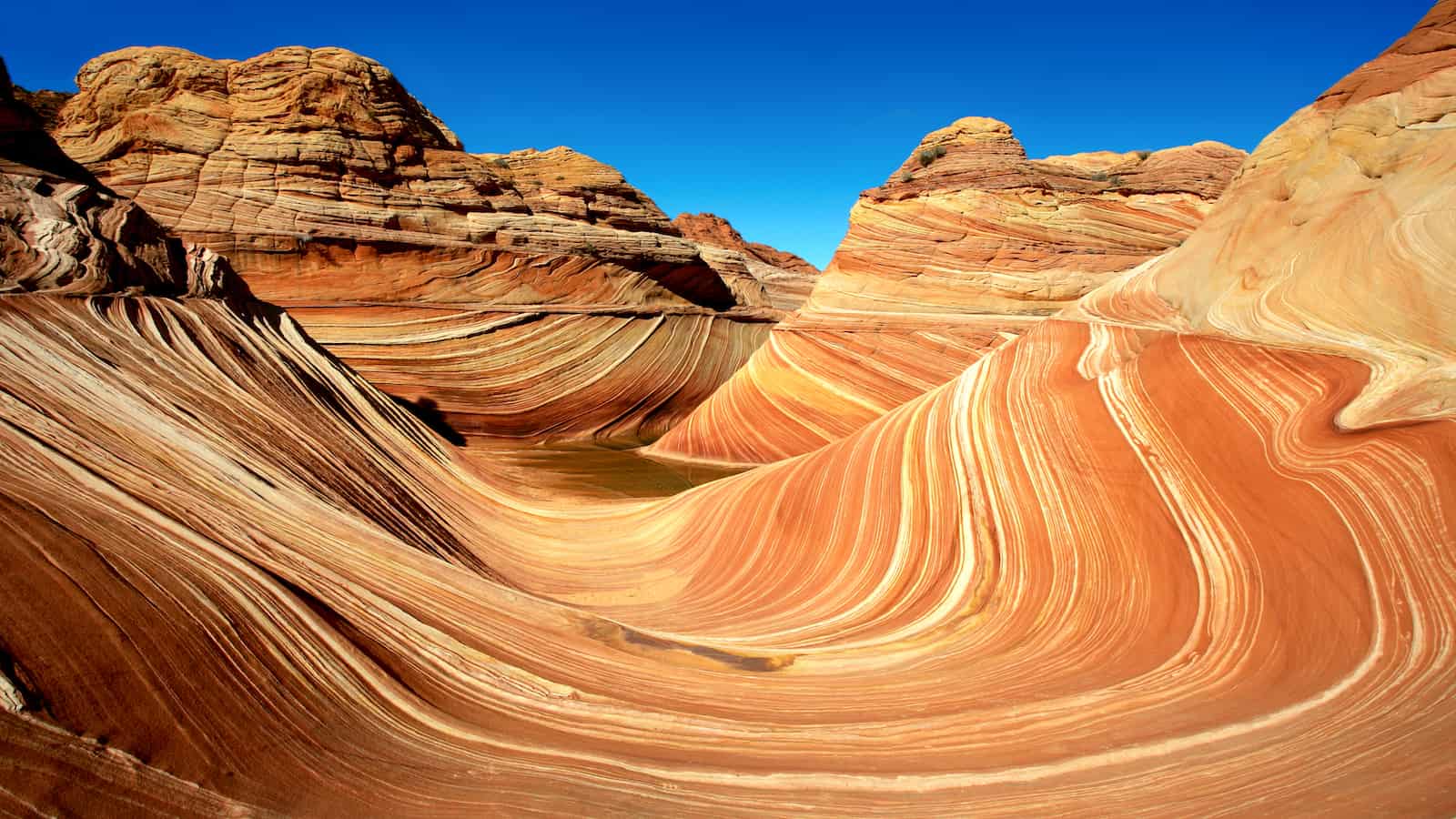 14 surprising facts British people don’t know about Arizona
