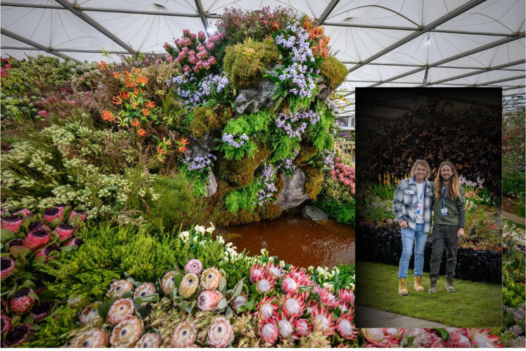 Chelsea: Top accolades mark South Africa’s 40th RHS triumph