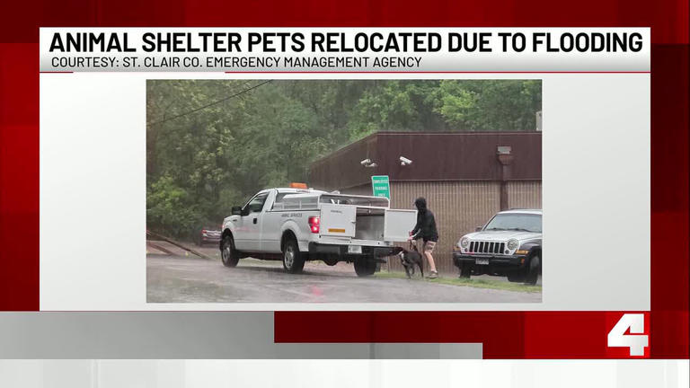St. Clair Co. Animal Control evacuates building due to flash flooding