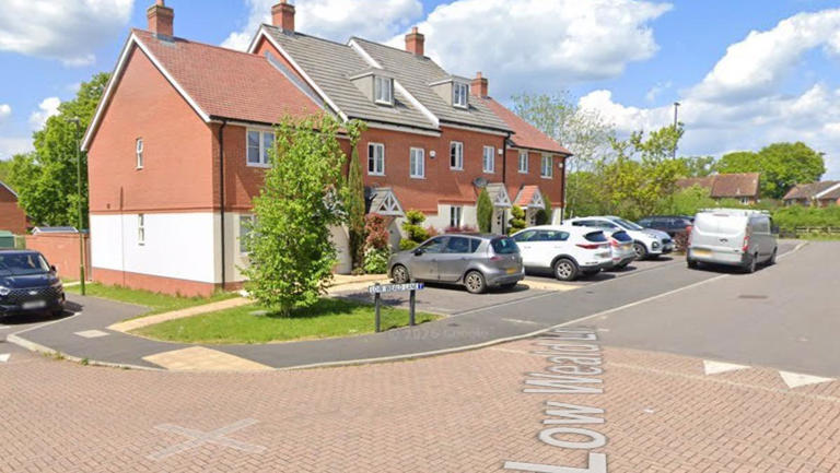 Police aim Taser at suspected knifeman in Broadbridge Heath