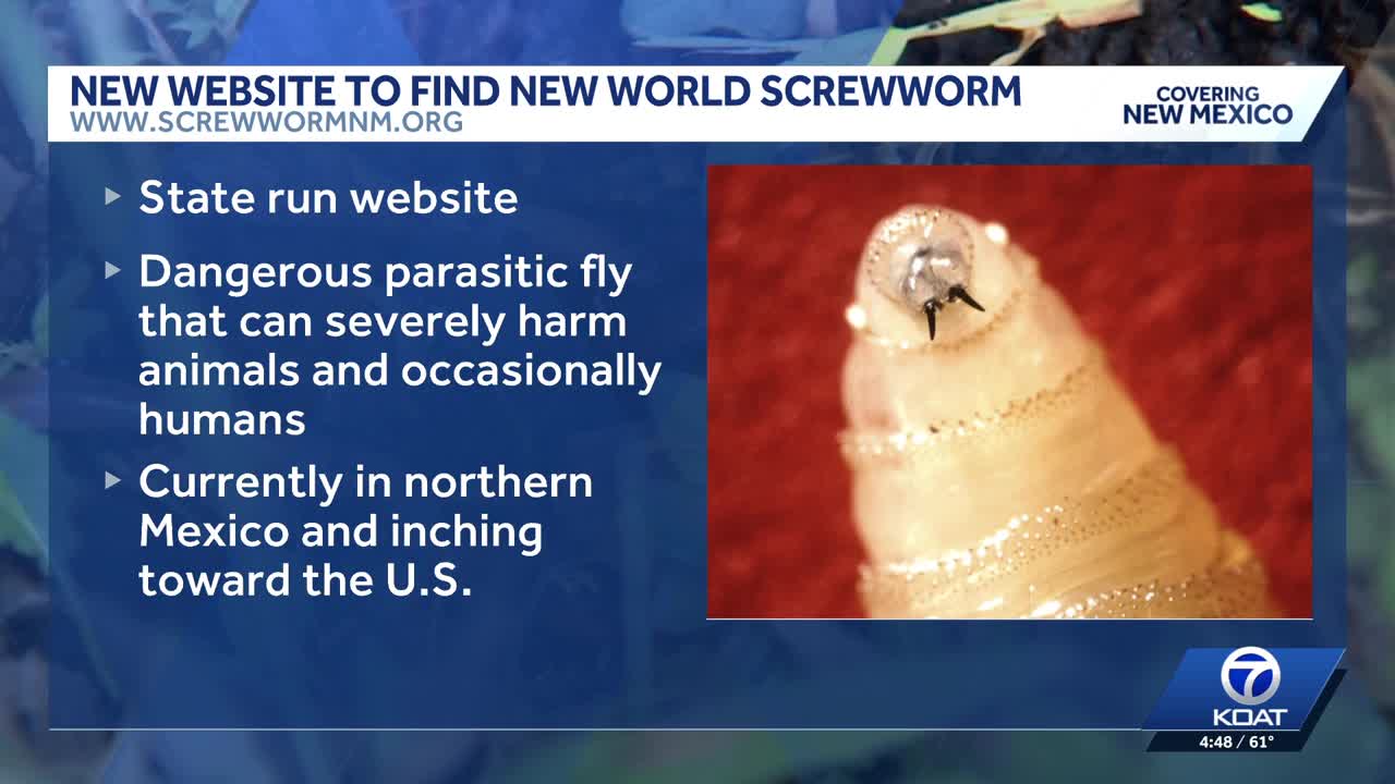 New Mexico launches website to track New World screwworm