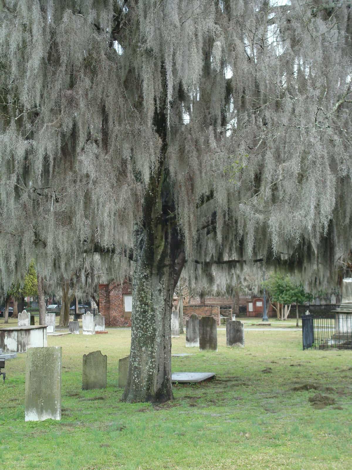 Terrifying ghost tales from Savannah, Georgia