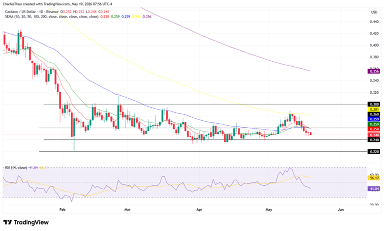 Can ADA price break $0.26 after V11 'Van Rossem' hard fork?