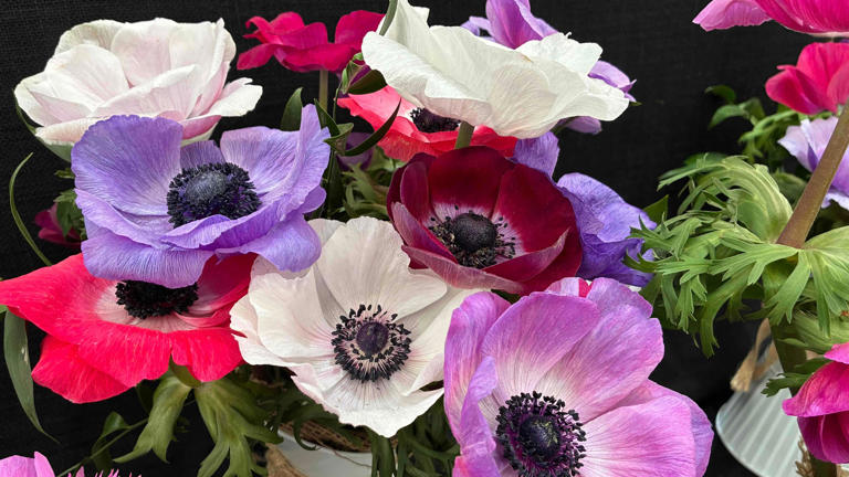 Chelsea gold is 29th for garden champions
