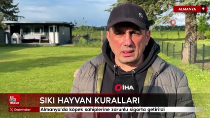 Almanya’da köpek sahiplerine zorunlu sigorta getirildi