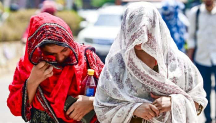 Delhi-NCR heatwave: Capital records season's hottest day as temperature ...