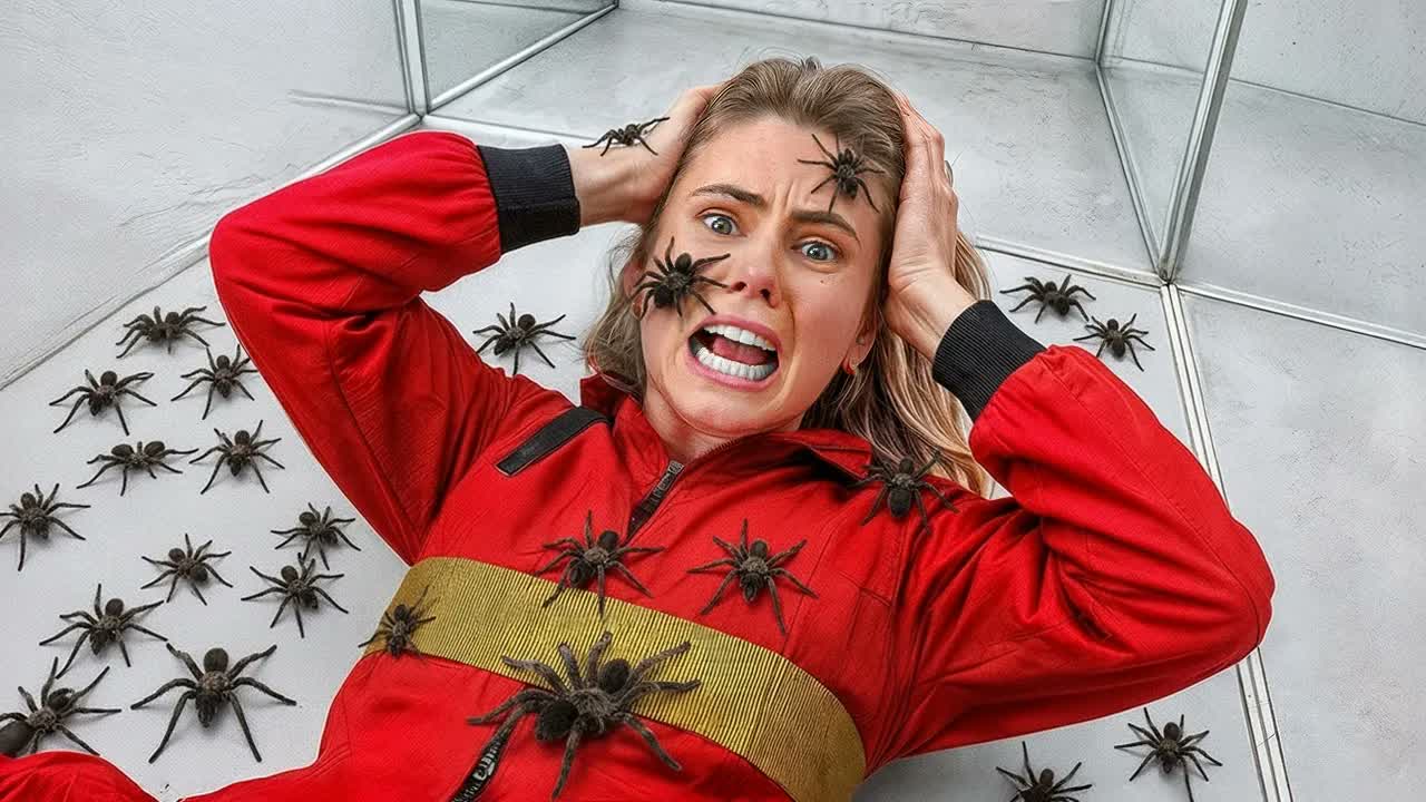 They locked a girl in a box full of giant spiders for $10,000