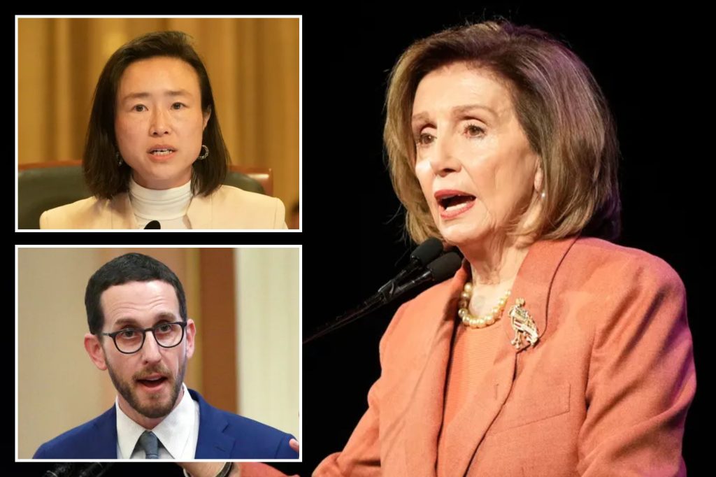 Pelosi endorses Connie Chan to succeed her in Congress