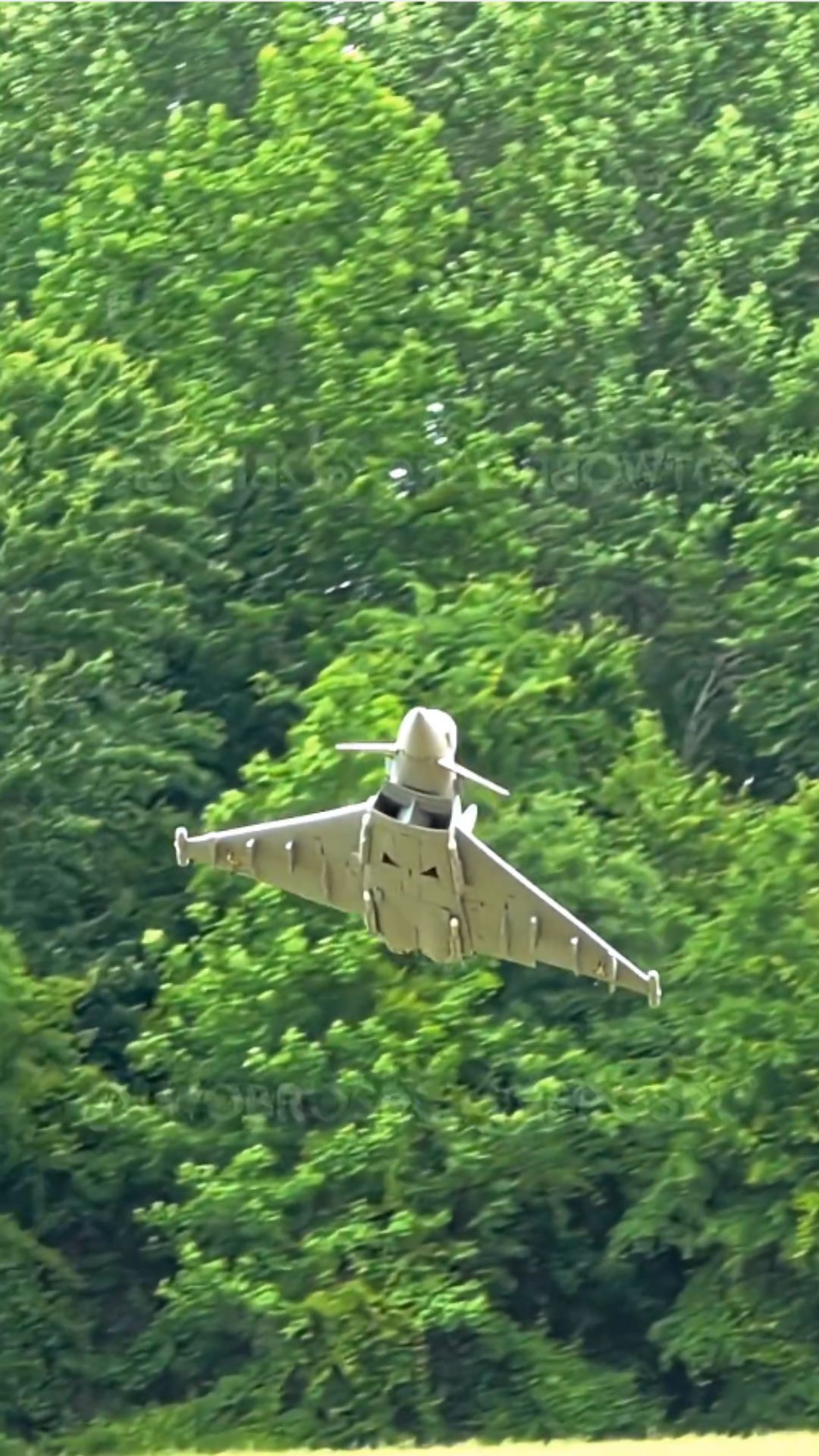 Incredible RC Eurofighter flight performance captured up close