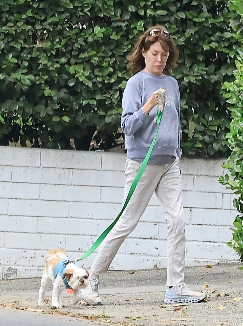 Reclusive 'Twin Peaks' star Lara Flynn Boyle, 56, makes rare Los ...
