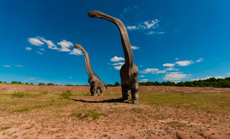 A 120-million-year-old dinosaur trackway lost for 70 years has just ...