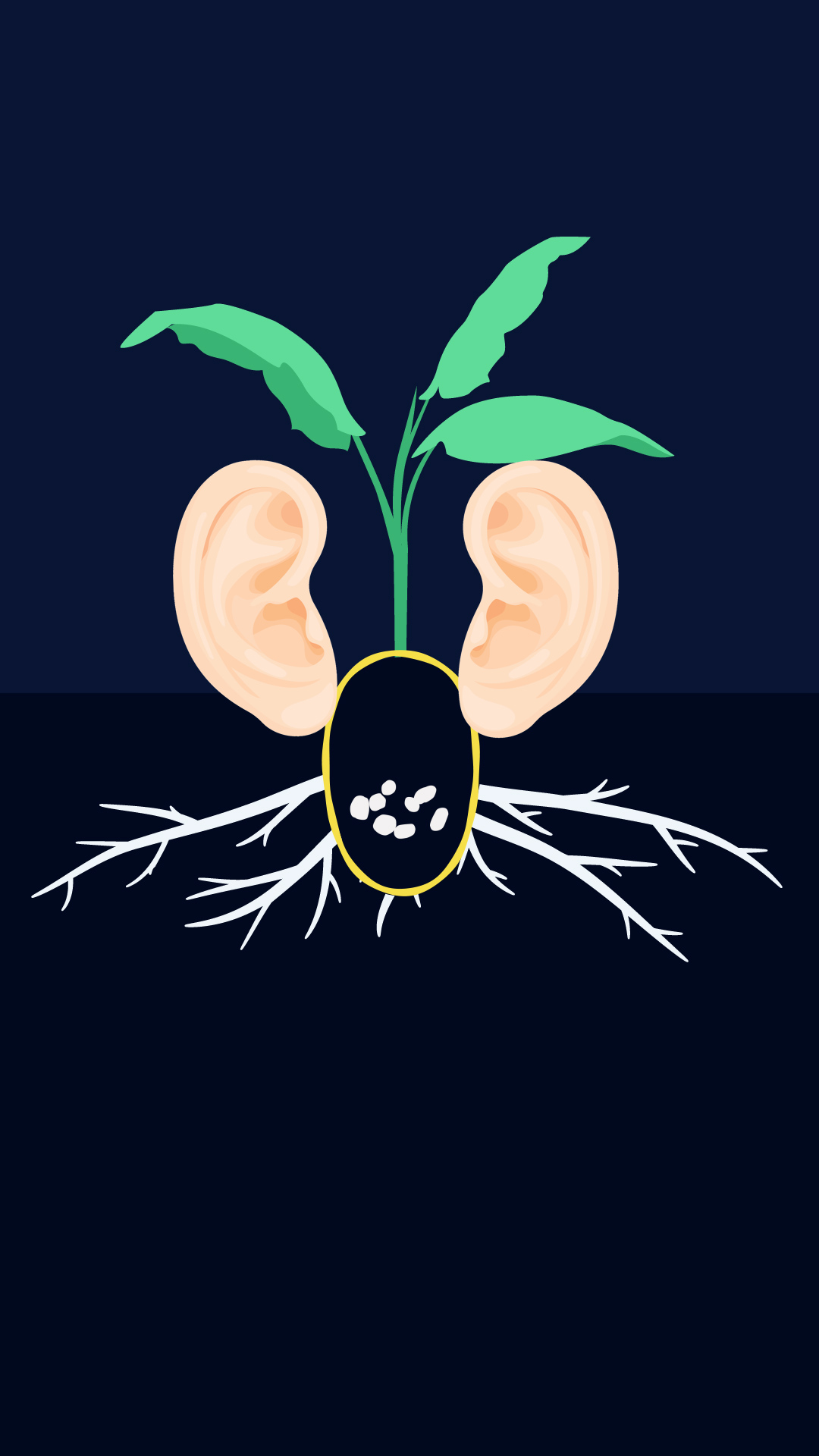 Did you know that plants can hear rain?