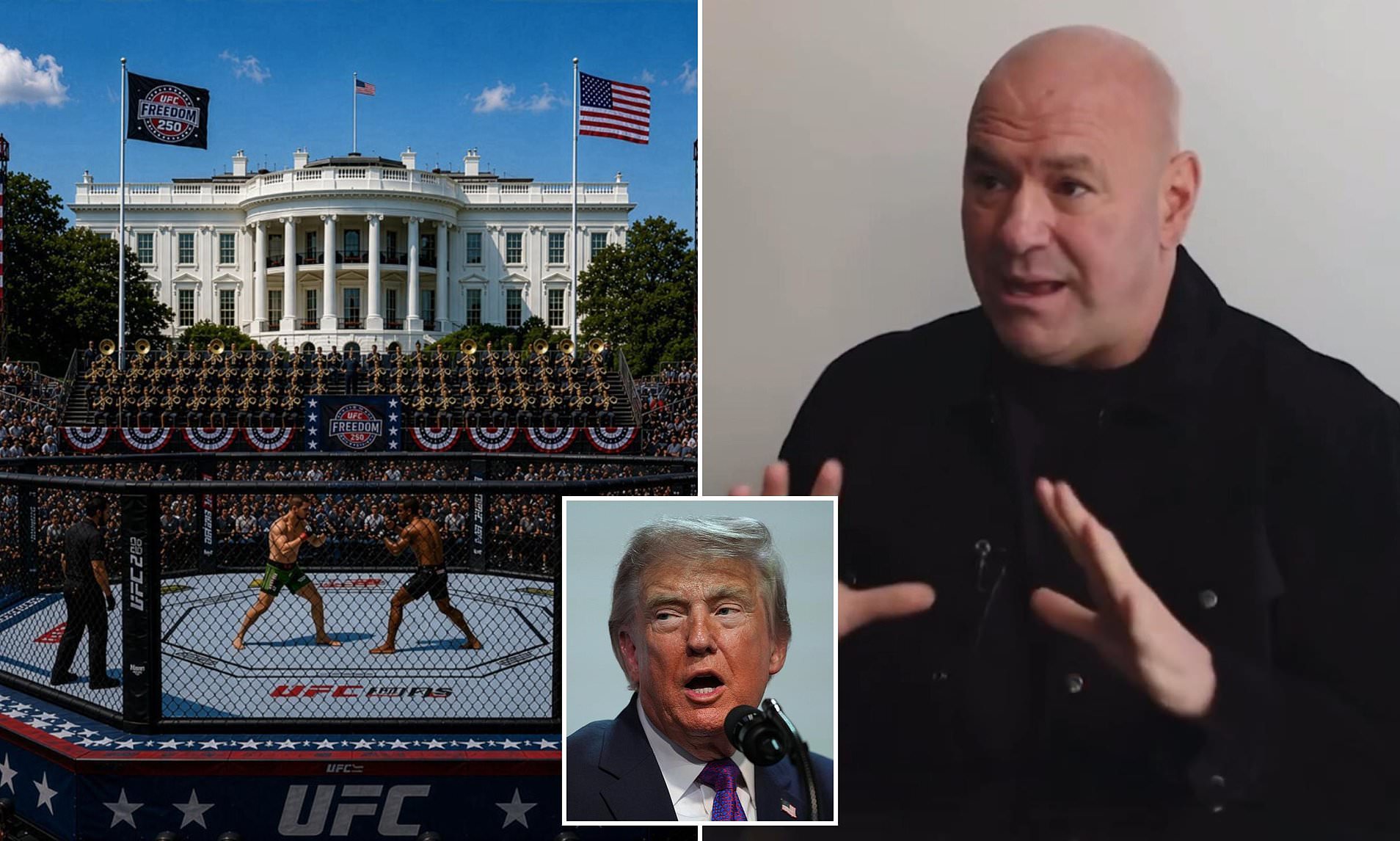 Dana White reveals insect infestation at Trump's White House is ...