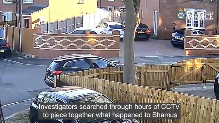 Gang jailed after killing man with hockey sticks and baseball bats