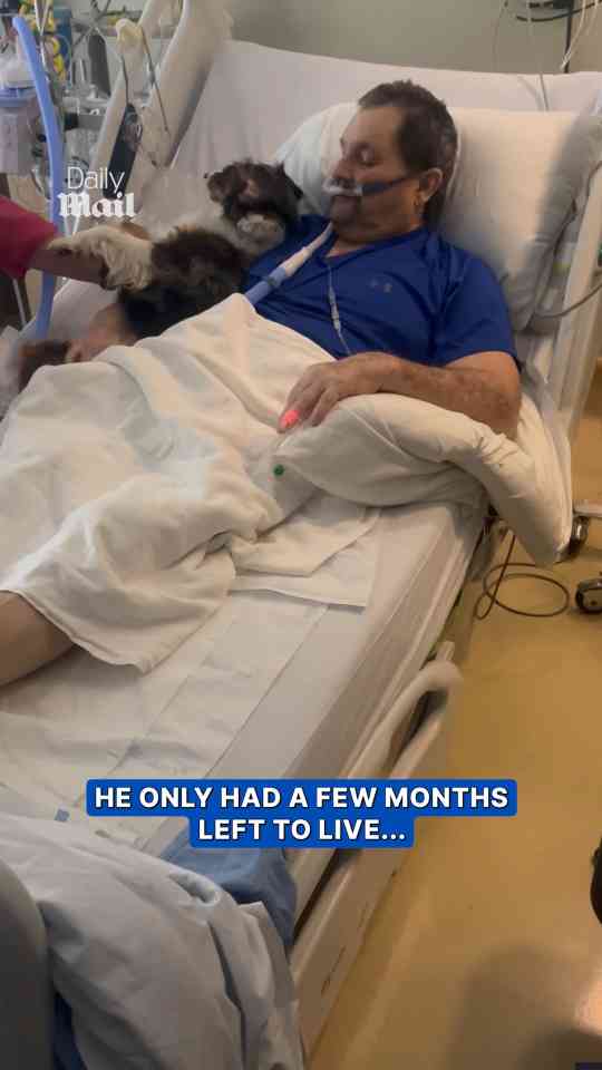 Family brings beloved dog to hospital for emotional goodbye with ...
