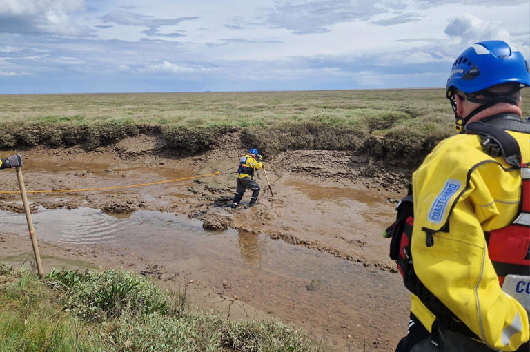 Emergency services called out to rescue man stuck in coastal mud flats ...