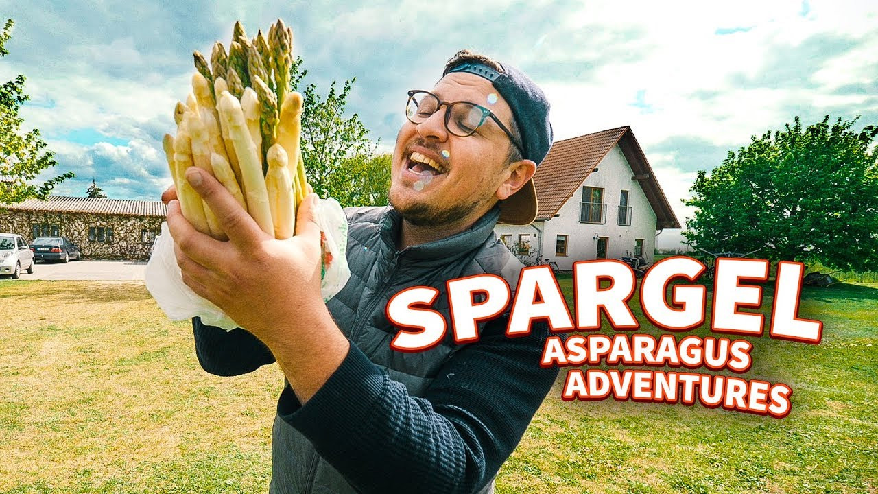 Germany’s white gold: The secret world of asparagus season