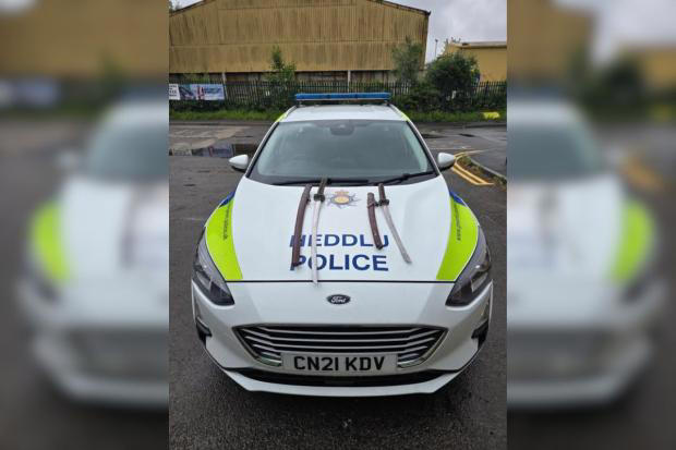 Hidden katana-style swords seized as police step up knife crime crackdown