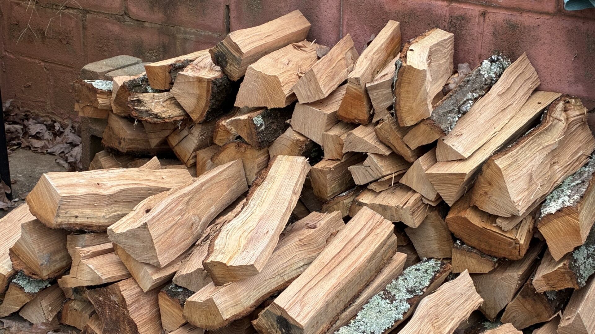 Michigan officials urge caution with firewood during camping season