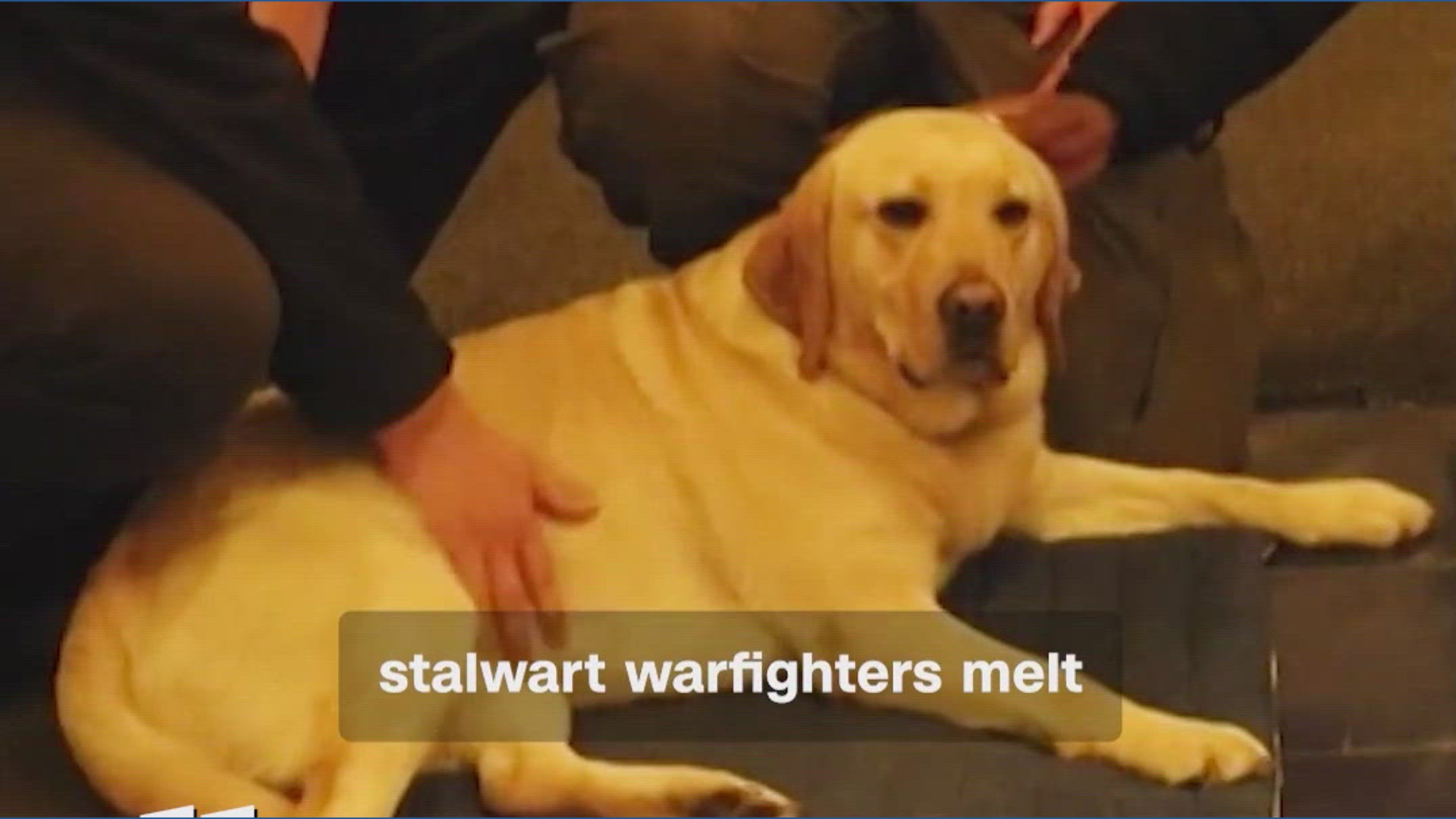 Furry friend helps sailors aboard Navy ship