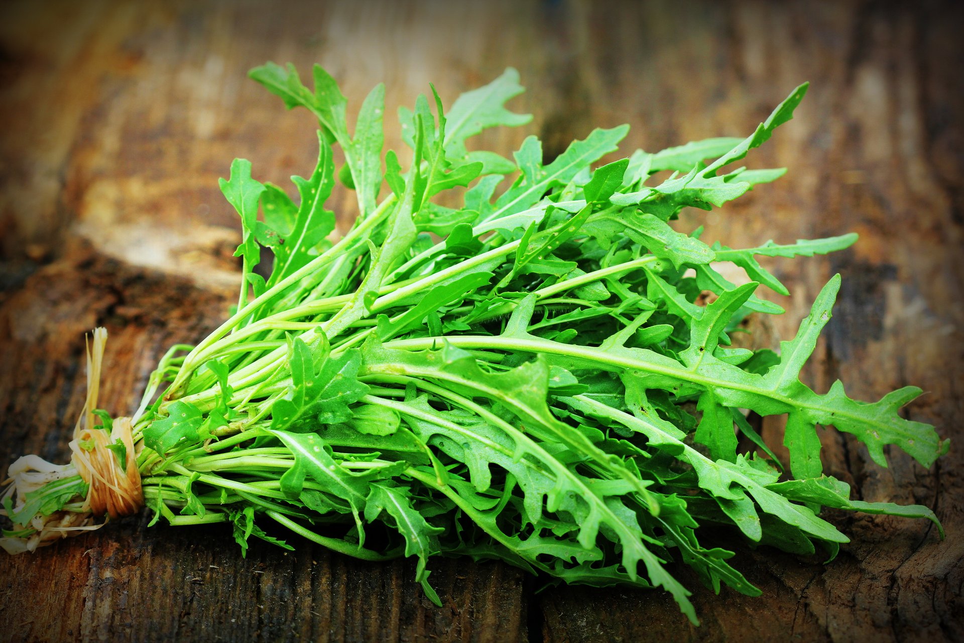 Rucola im Mai: Diese Blüte besser nicht entfernen