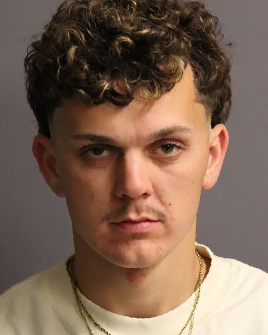 NY man shows up drunk to pick friend up from DWI arrest: cops